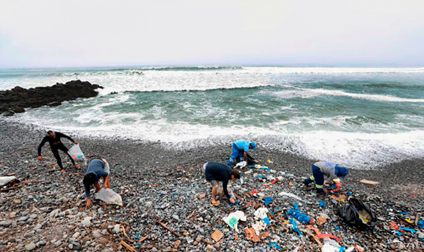 Contaminación Por Microplásticos Afecta La Costa Peruana Blog Usil